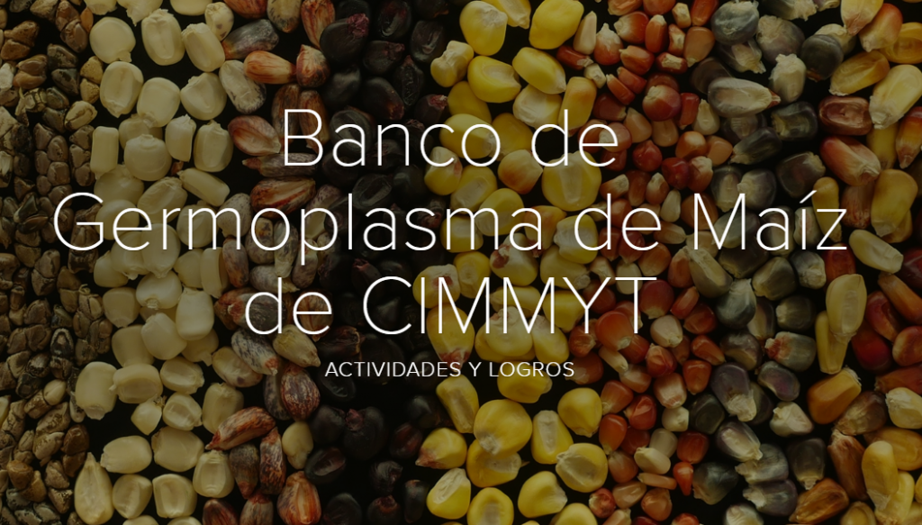 banco de germoplasma » Seeds of Discovery